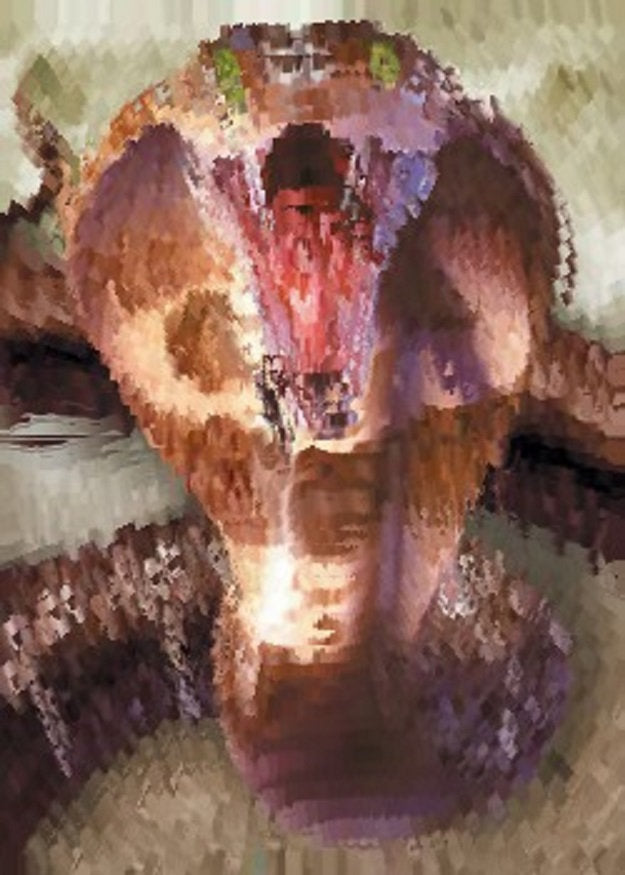 cobra – Rabbithole Club